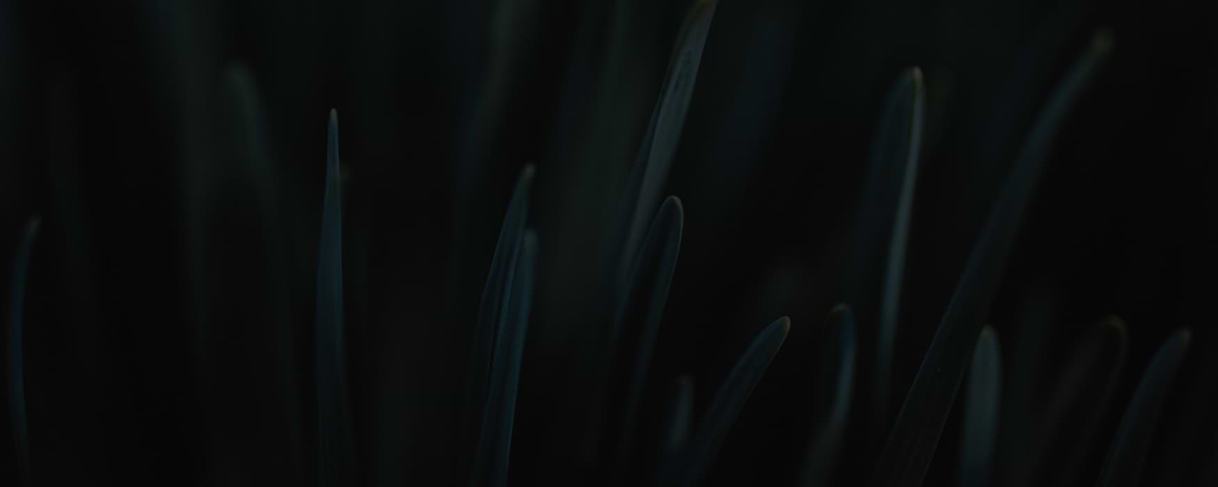 First line manager training from The Oxford Group - The Oxford Group